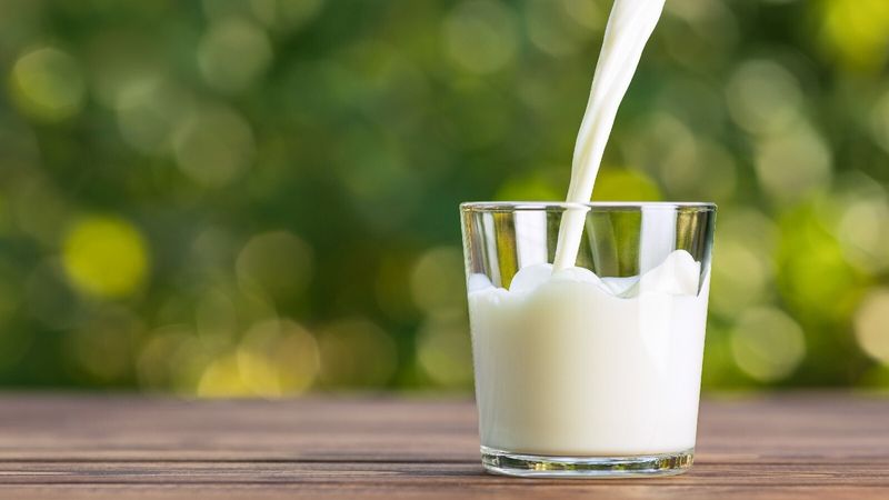 20 foods men and women should eat for better bone strength