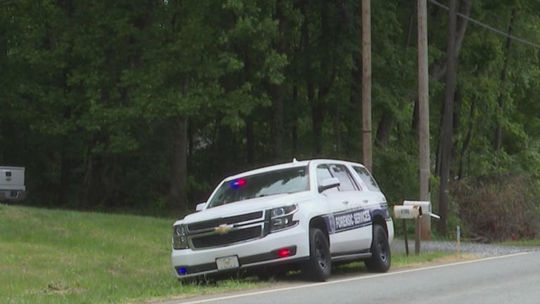 Forsyth County deputies searching for suspect after teen, dog fatally ...