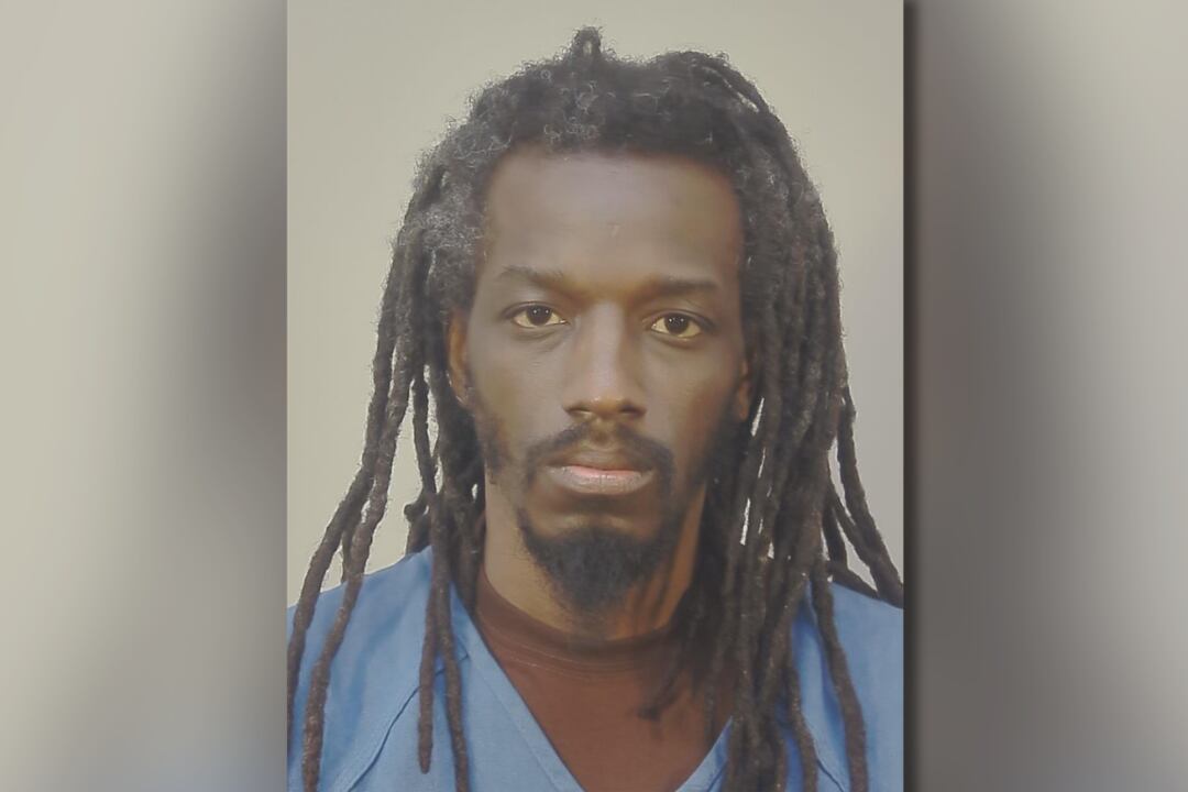 Driver pleads not guilty in Madison hit-and-run crash that killed ...