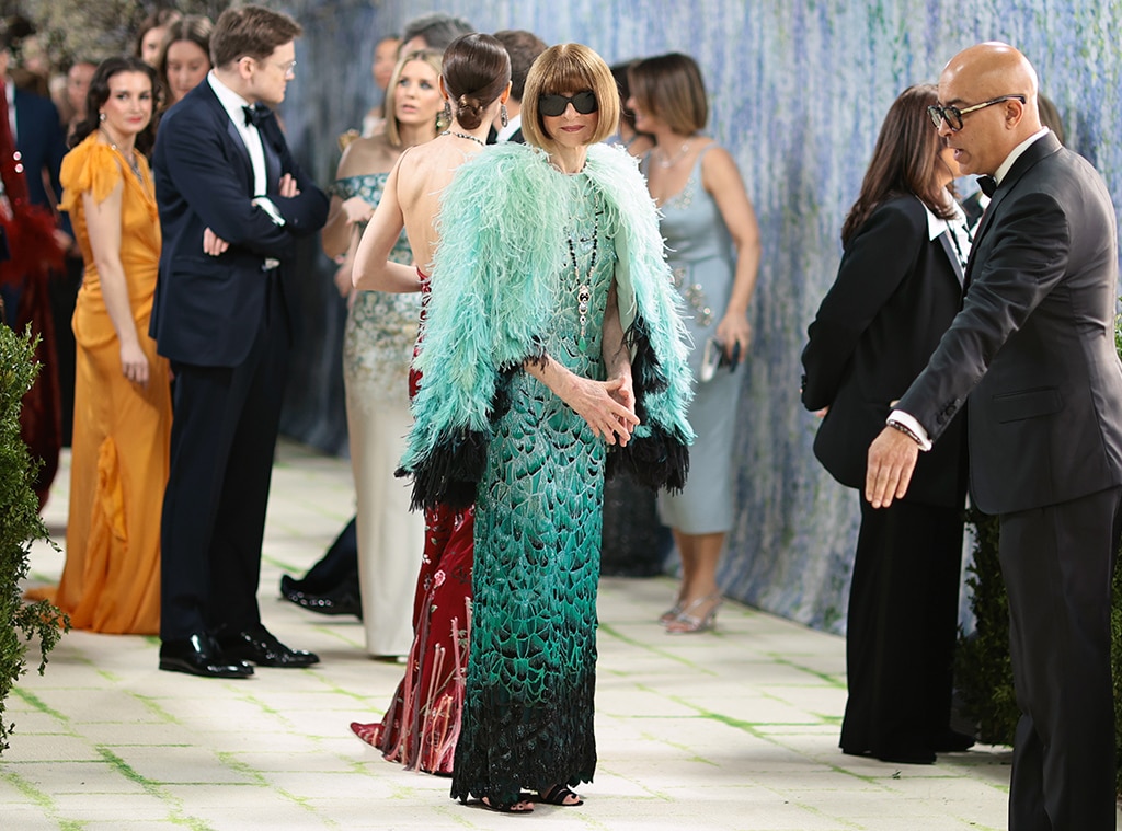 Anna Wintour turns heads in show-stopping feathered look at Met Gala