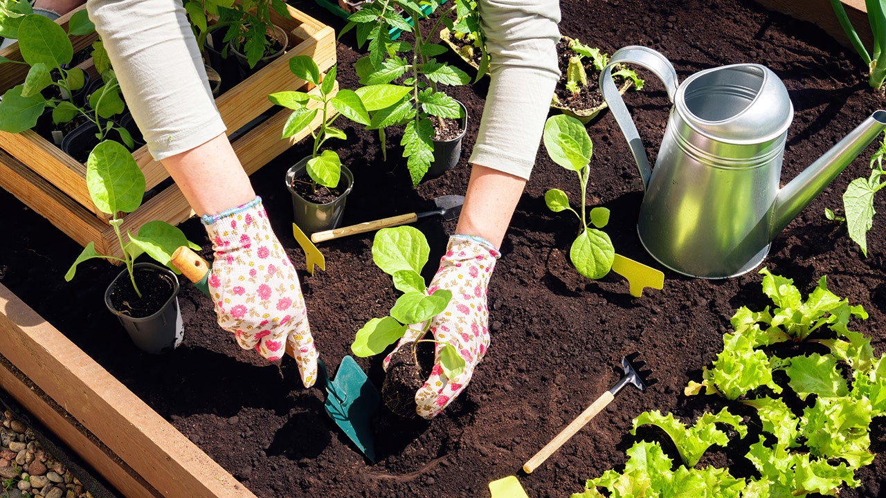 Wayfair's outdoor event is live: Save up to 77% on gardening deals for ...