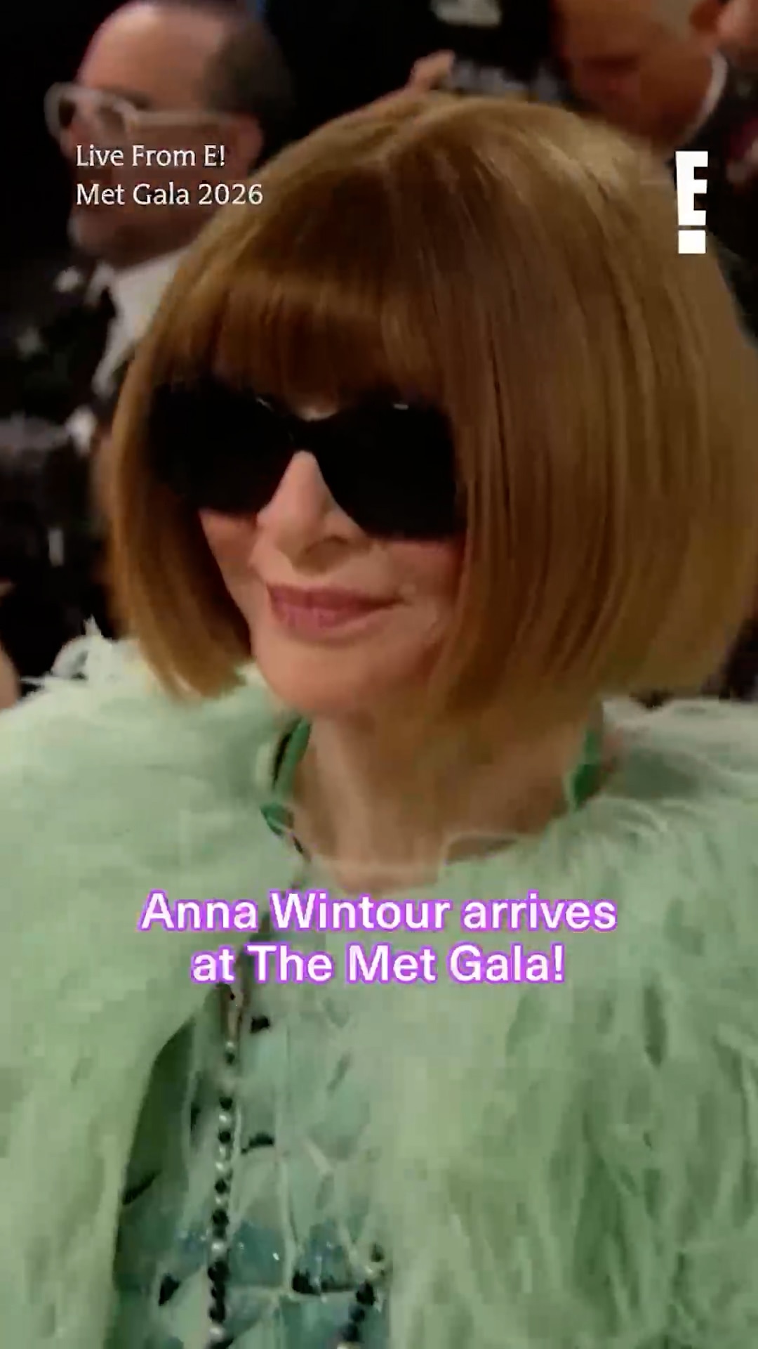 Anna Wintour has arrived at the Met Gala