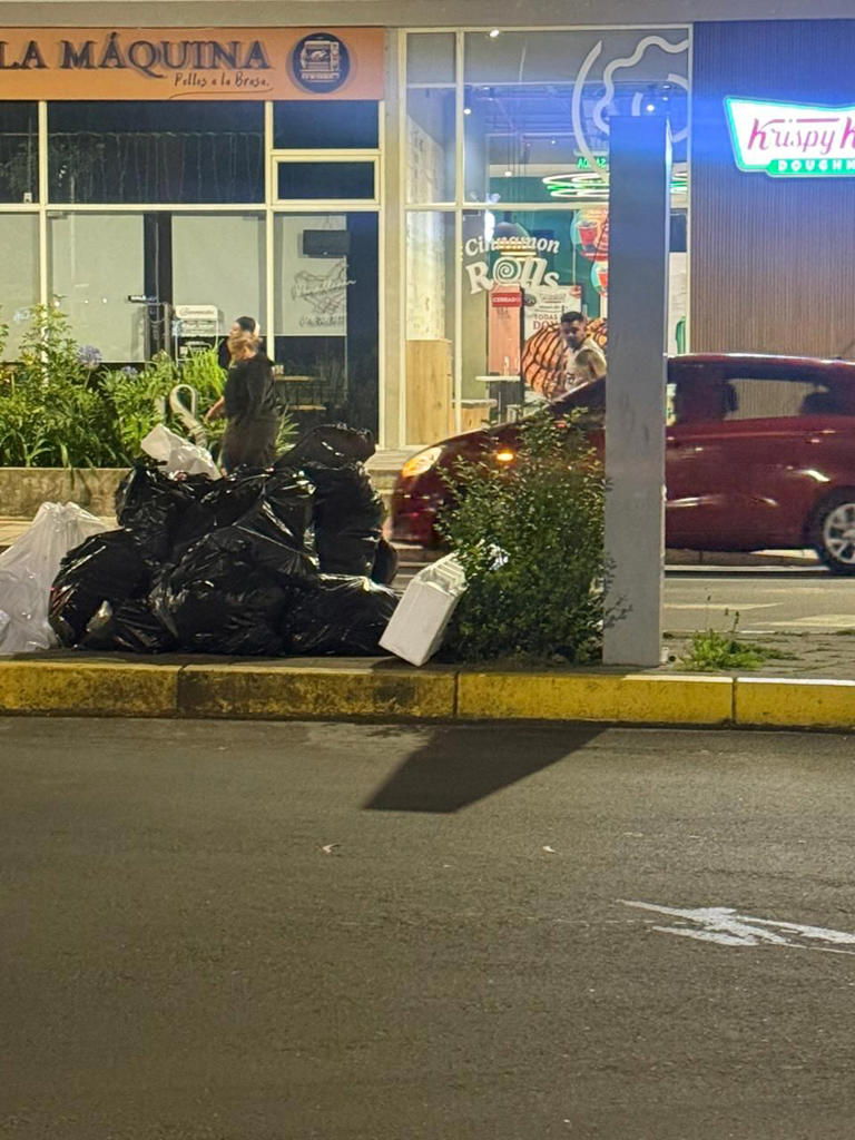 Plaga de ratas en la República de El Salvador: El problema detrás de la ...