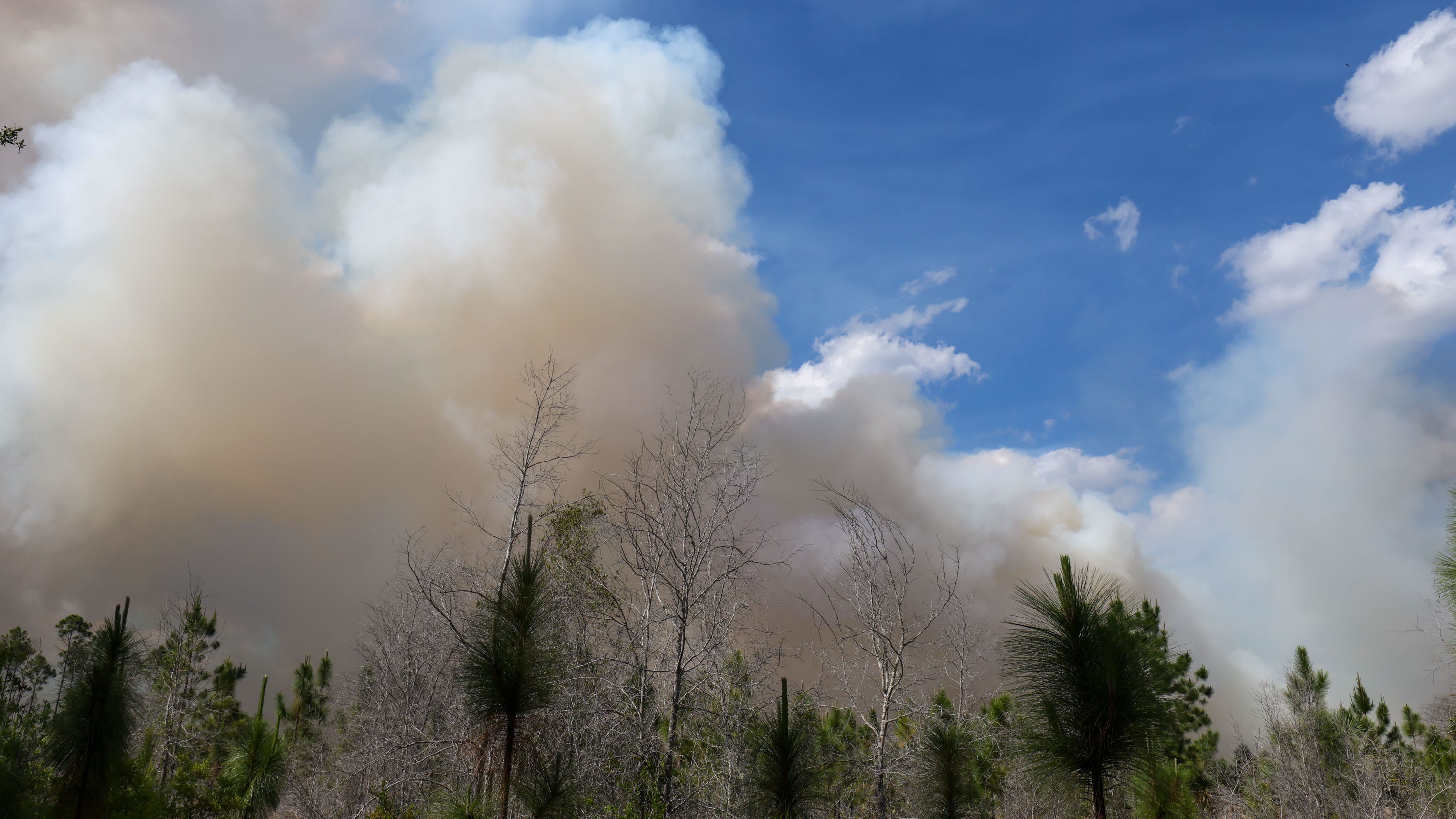 Where is smoke in Jacksonville coming from? See map of wildfires