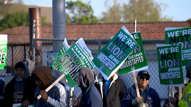 Around 100 union workers strike at Brookfield Zoo over health insurance ...