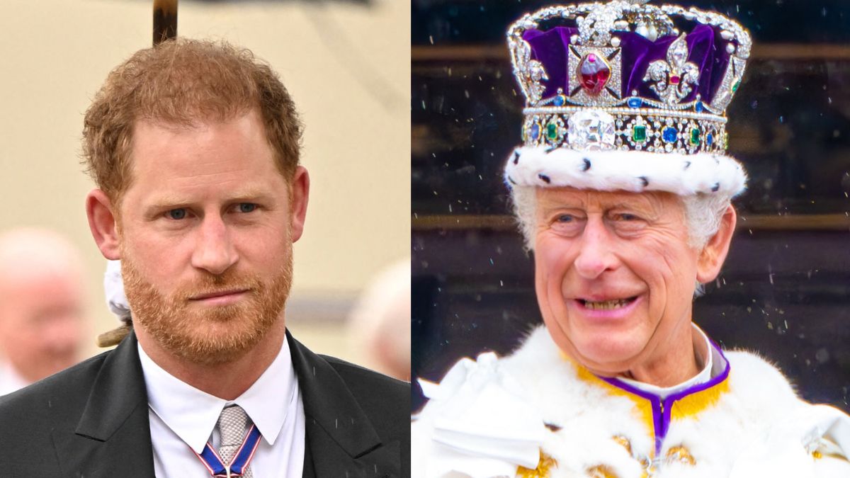 King Charles and Prince Harry have 'no relationship right now'
