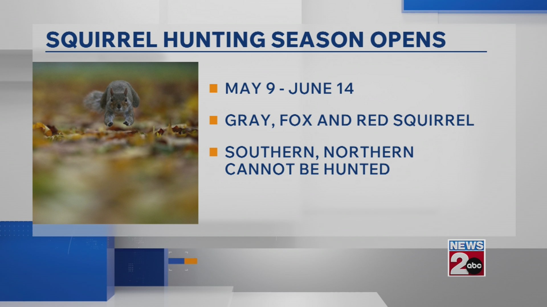 Spring squirrel hunting season opens soon in Tennessee