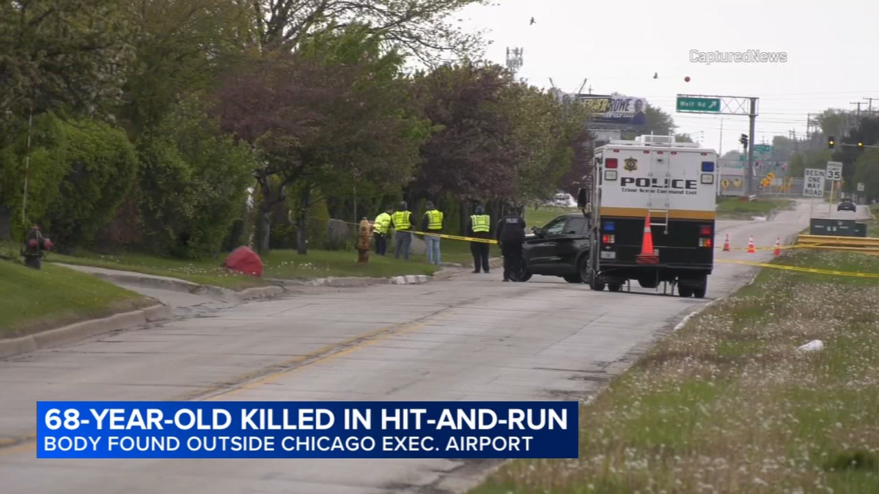 Man killed in hit-and-run near Chicago Executive Airport identified by ...