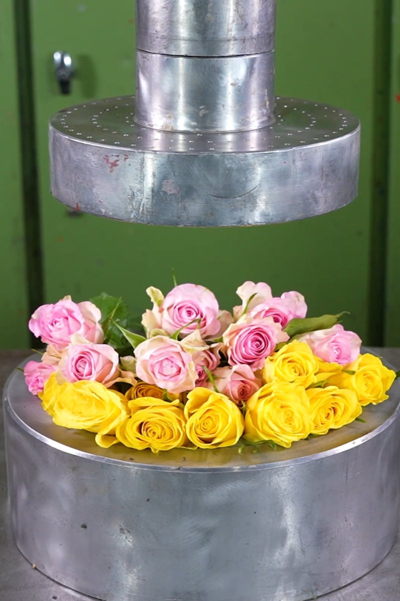 Hydraulic press crushing roses