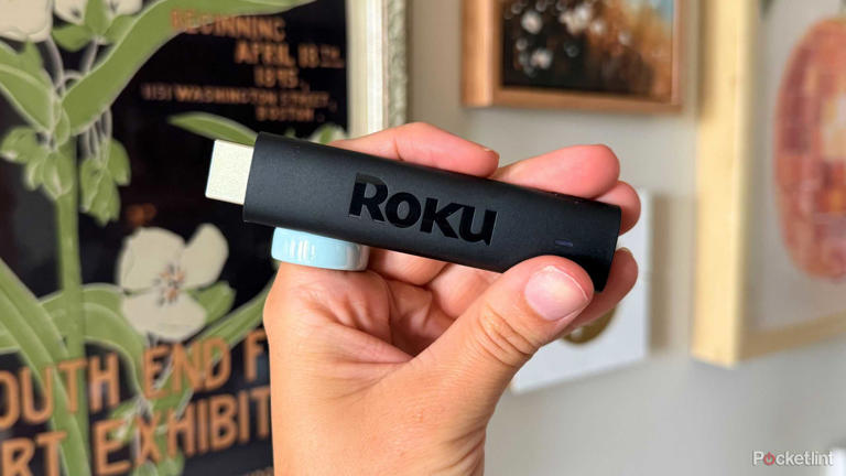 Cheap Roku or expensive Roku? It really doesn't matter