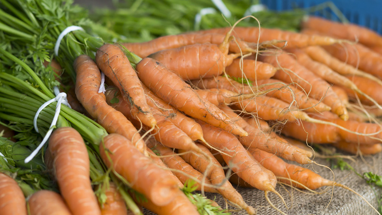 5 plants that you shouldn't start growing indoors