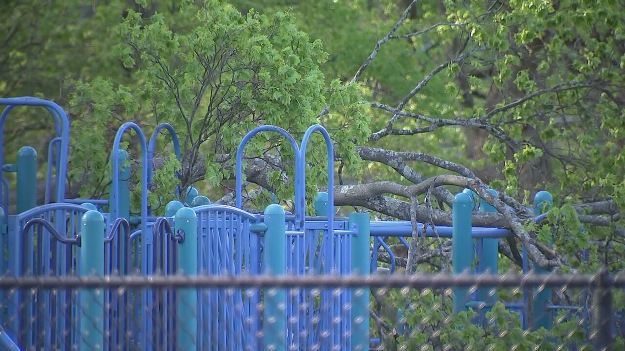 Two children and one adult hospitalized after tree falls at school ...
