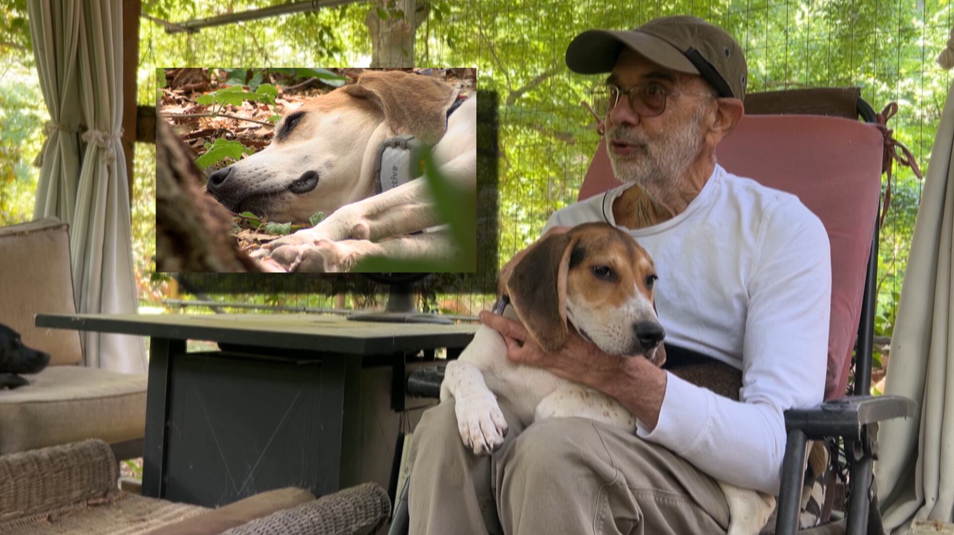 Best story ending: Man adopts New Kent dog found with wire wrapped ...