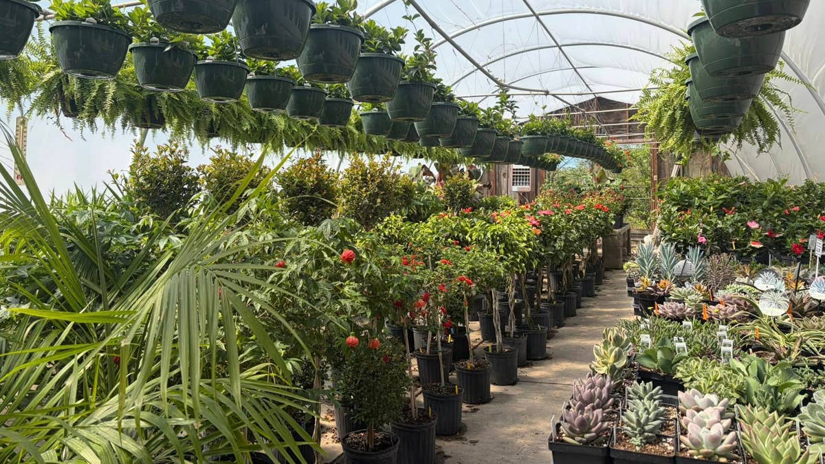 Gerten's Farm Market to end 43-year run after 2026 season
