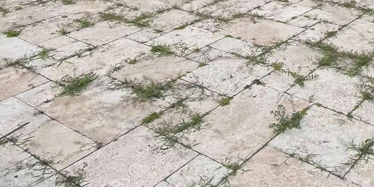 Πώς να αποτρέψετε οριστικά το να φυτρώνουν ζιζάνια ανάμεσα στις πλάκες ...