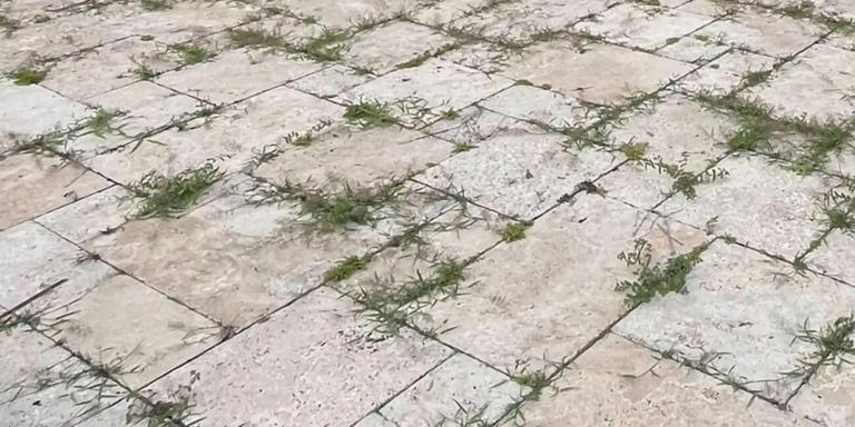 Πώς να αποτρέψετε οριστικά το να φυτρώνουν ζιζάνια ανάμεσα στις πλάκες ...