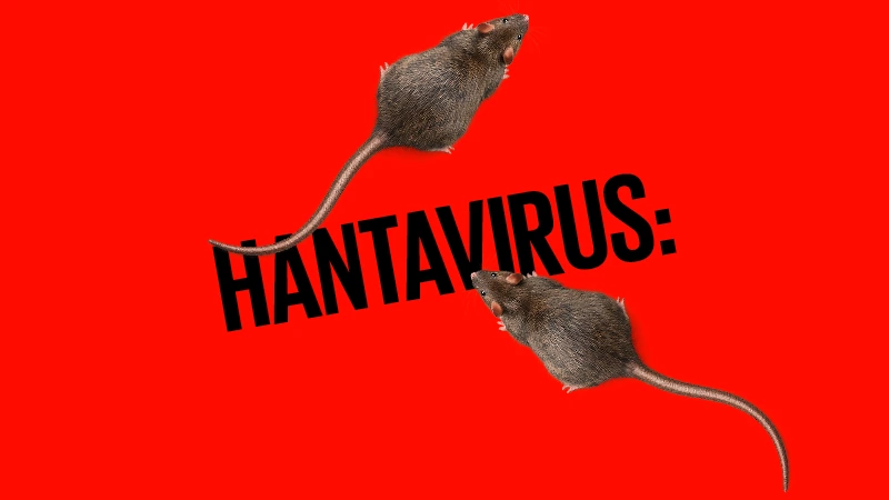 Hantavirus: qué es, cómo se transmite y qué tan peligroso es