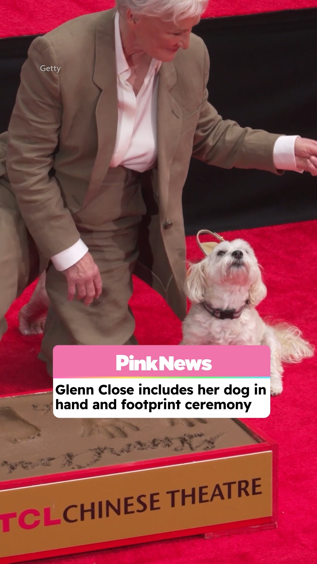 Glenn Close's dog Pip steals the show at Hollywood ceremony with ...