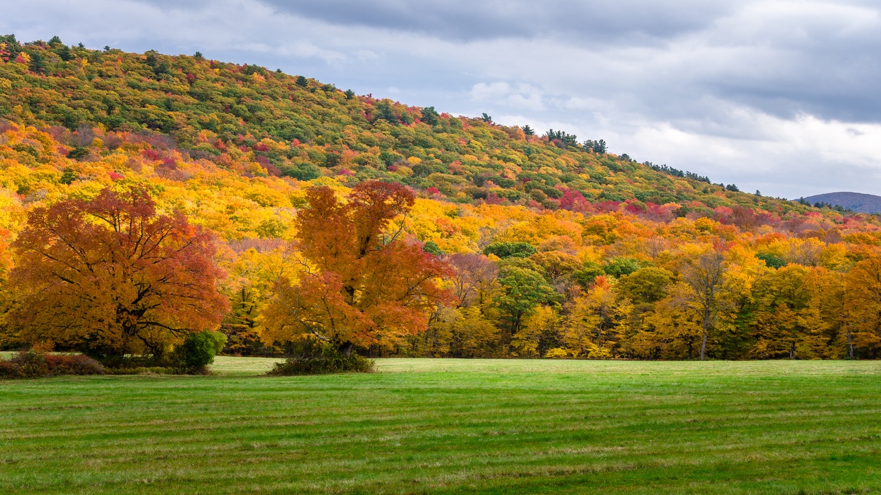 Writers and artists have been escaping to western Massachusetts for 200 ...