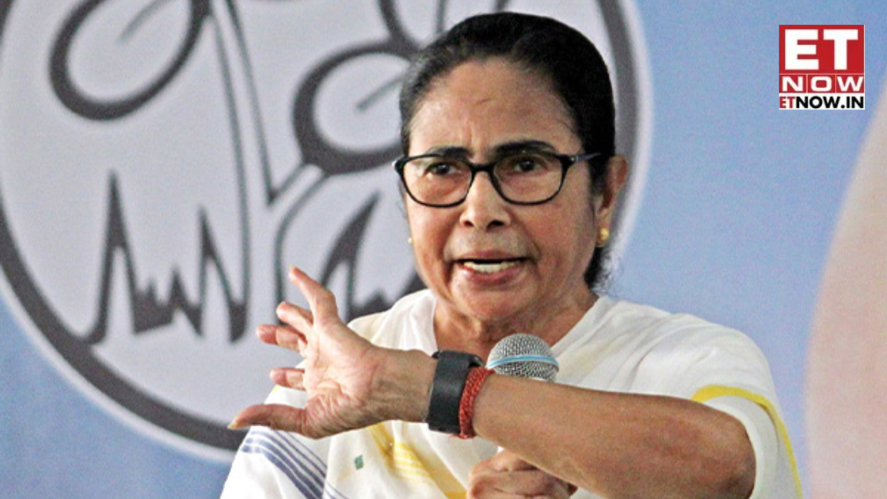 West Bengal election 2026: 'I was hit, CCTV switched off': CM Mamata ...