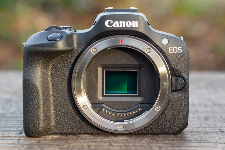 Another small Canon camera bargain – you get 'brilliant' autofocus and ...