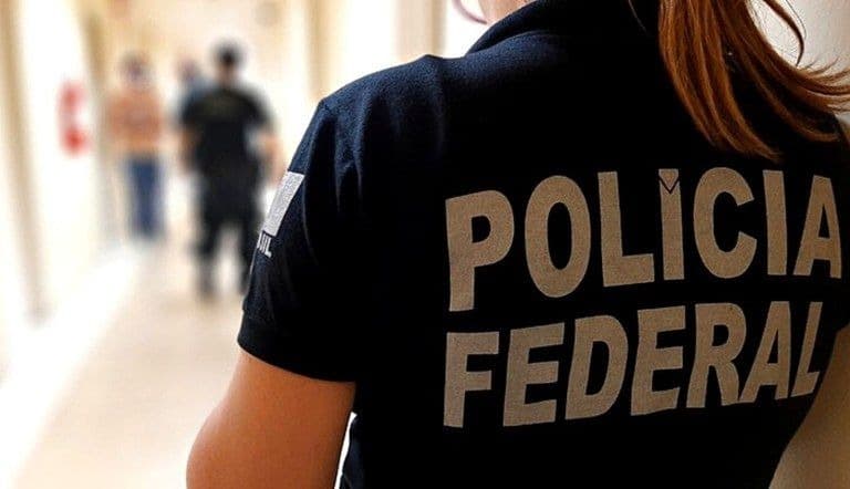 PF faz grande apreensão e impede chegada de dezenas de armas a facções ...