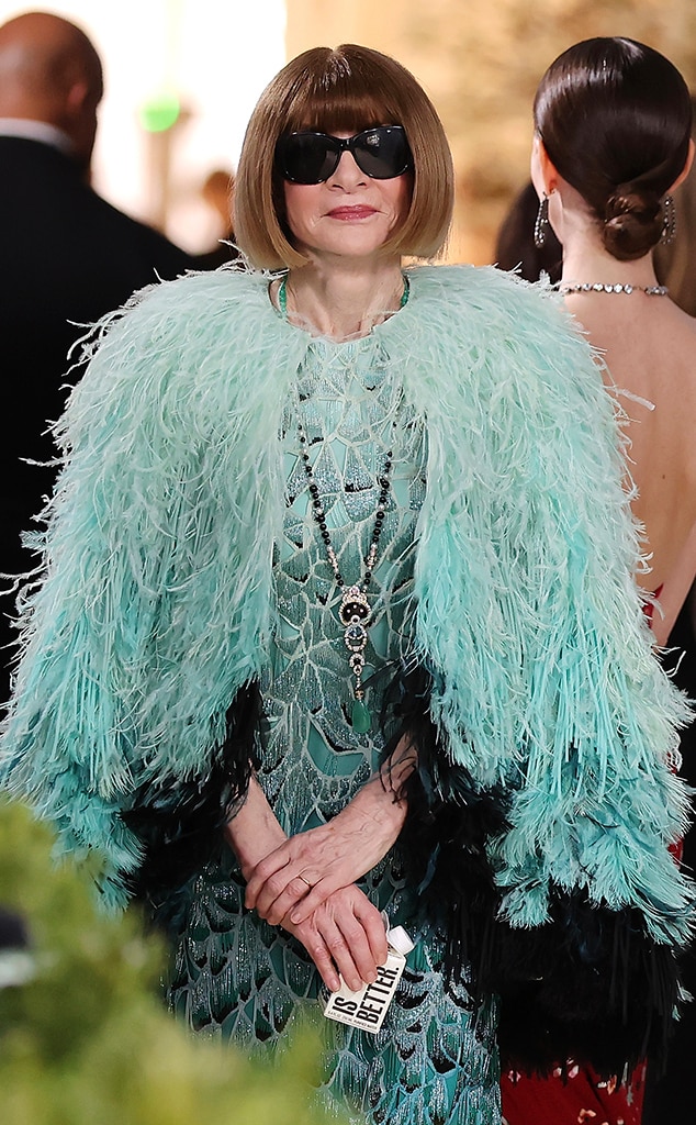 Anna Wintour turns heads in show-stopping feathered look at Met Gala