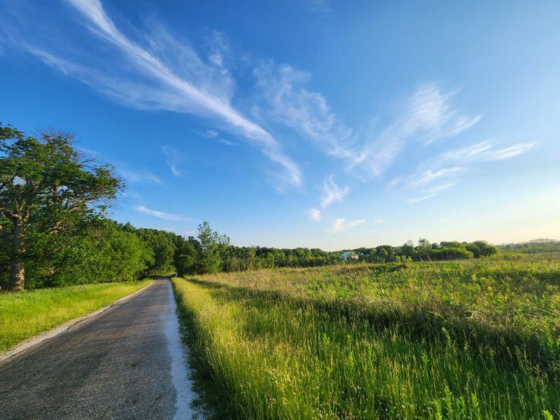 These 12 forgotten Illinois parks belong to nature again