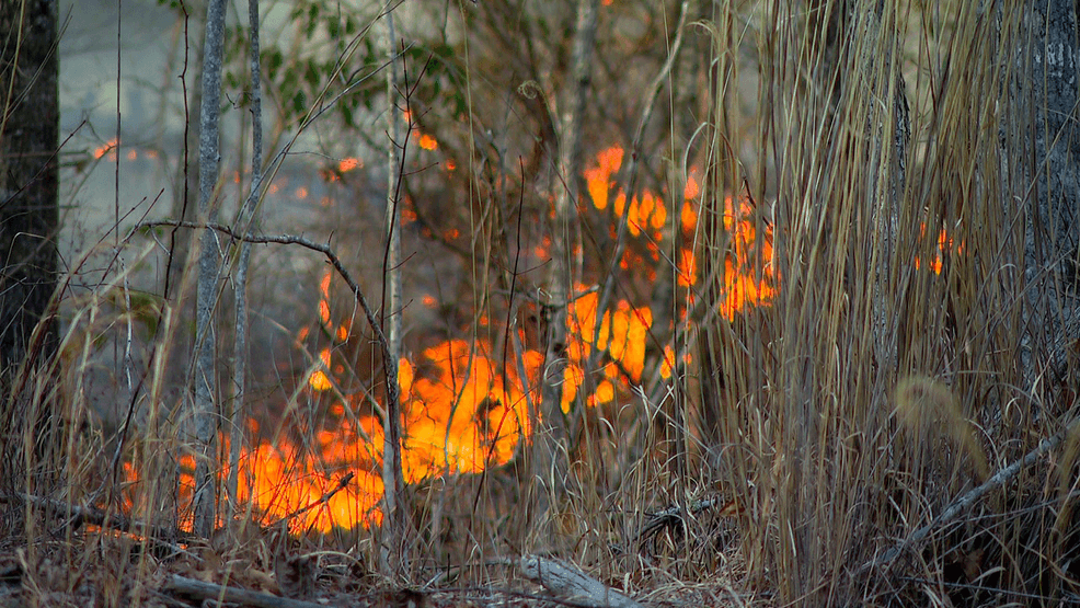 Burn ban lifted in most North Carolina counties, but officials say ...