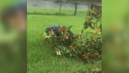 Backyard fails