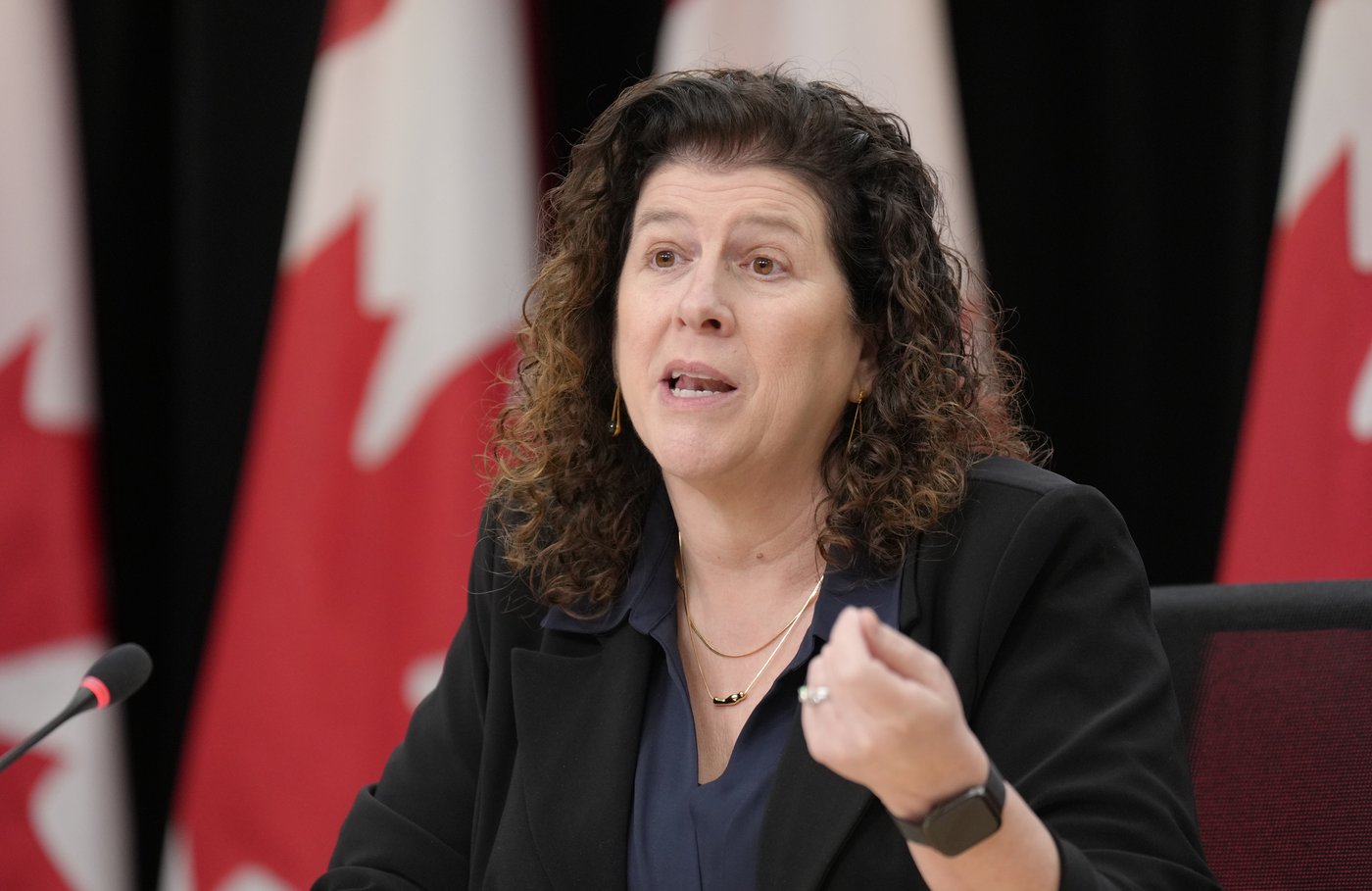 Audit finds flood hazard mapping behind schedule, doesn't account for ...