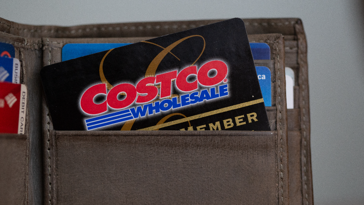 Transform your home's curb appeal with Costco's $65 metal flower wind ...