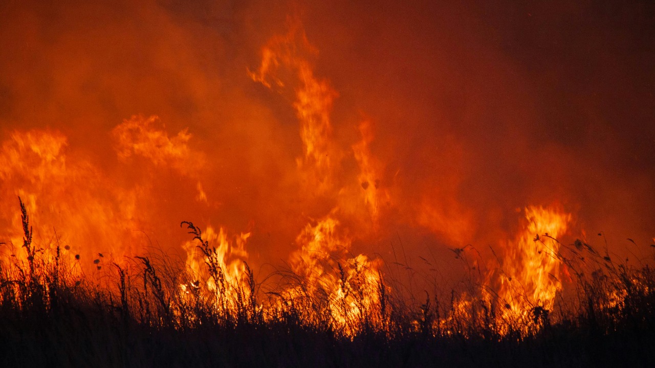 62% of the US is in drought — 1.85 million acres burned at 194% of the ...