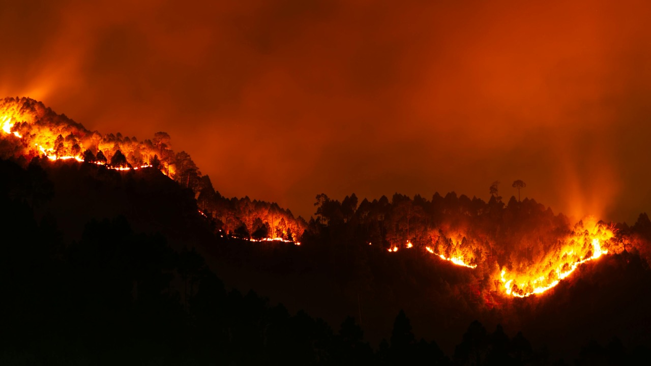 AccuWeather predicts 65,000-80,000 wildfires will ignite across the US ...
