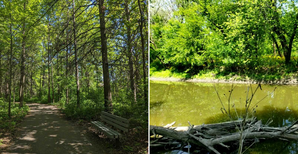 These 12 forgotten Illinois parks belong to nature again