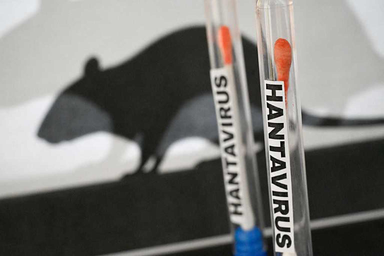 What is hantavirus? How did cruise tourists get it?