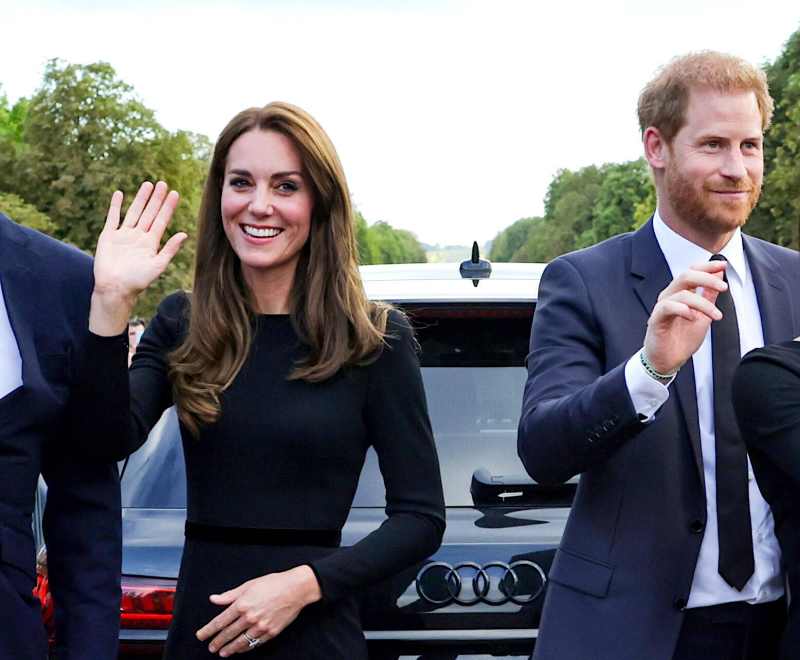 Royal book claims Prince Harry pushed Kate to her 'limits'