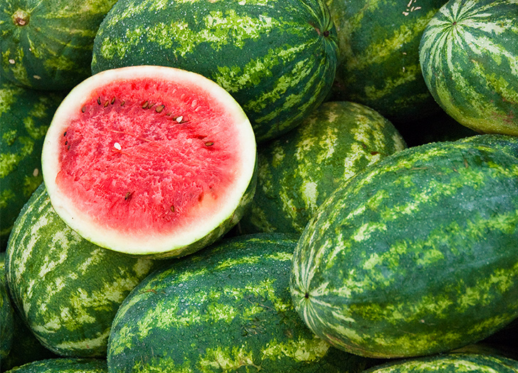 25 types of melons to load up on while they're in season