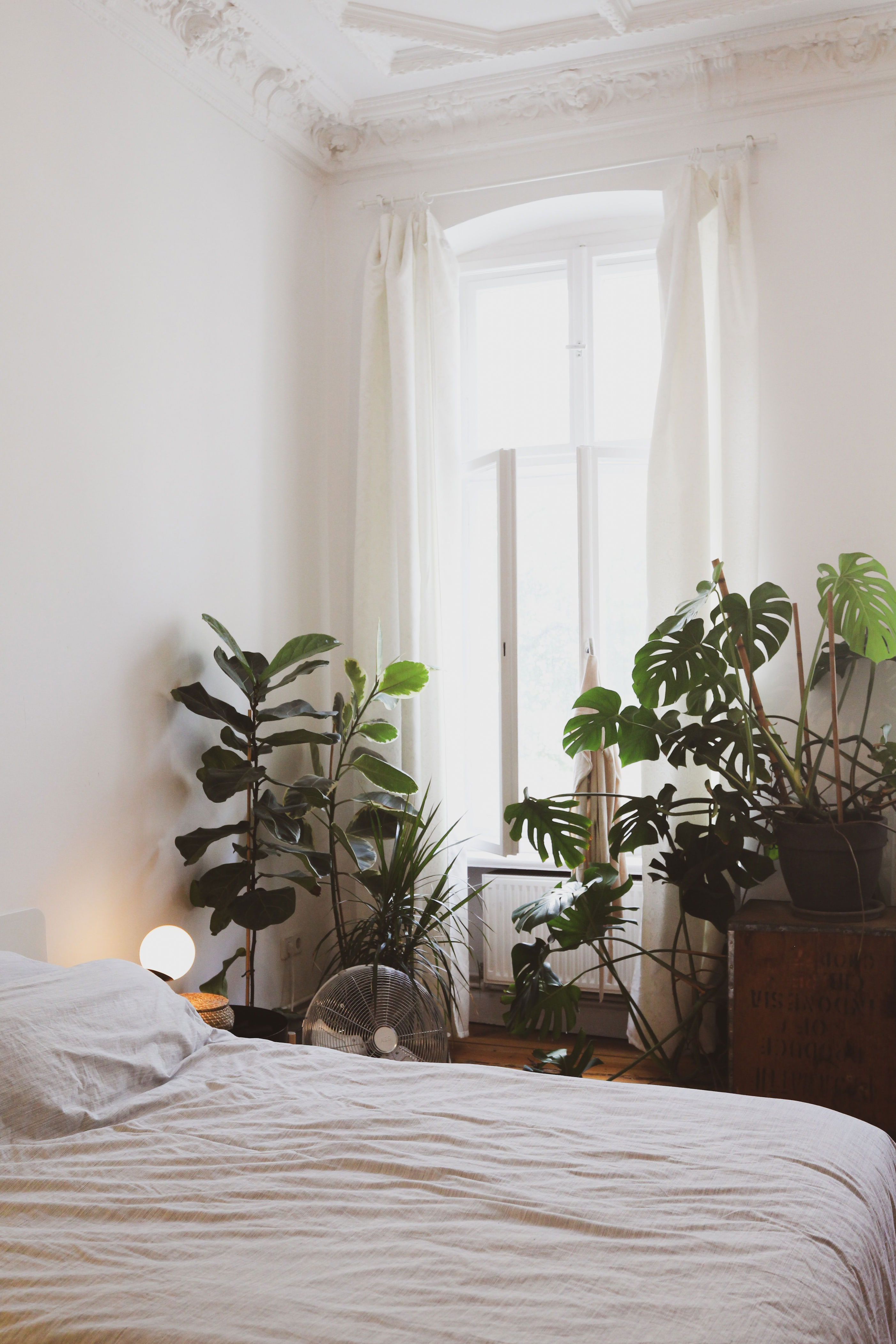 Deja de pintar de blanco las habitaciones de casa: eso dicen los expertos