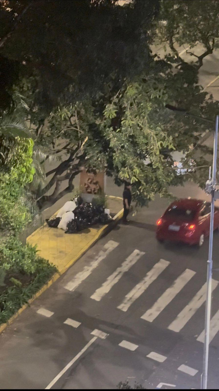 Plaga de ratas en la República de El Salvador: El problema detrás de la ...