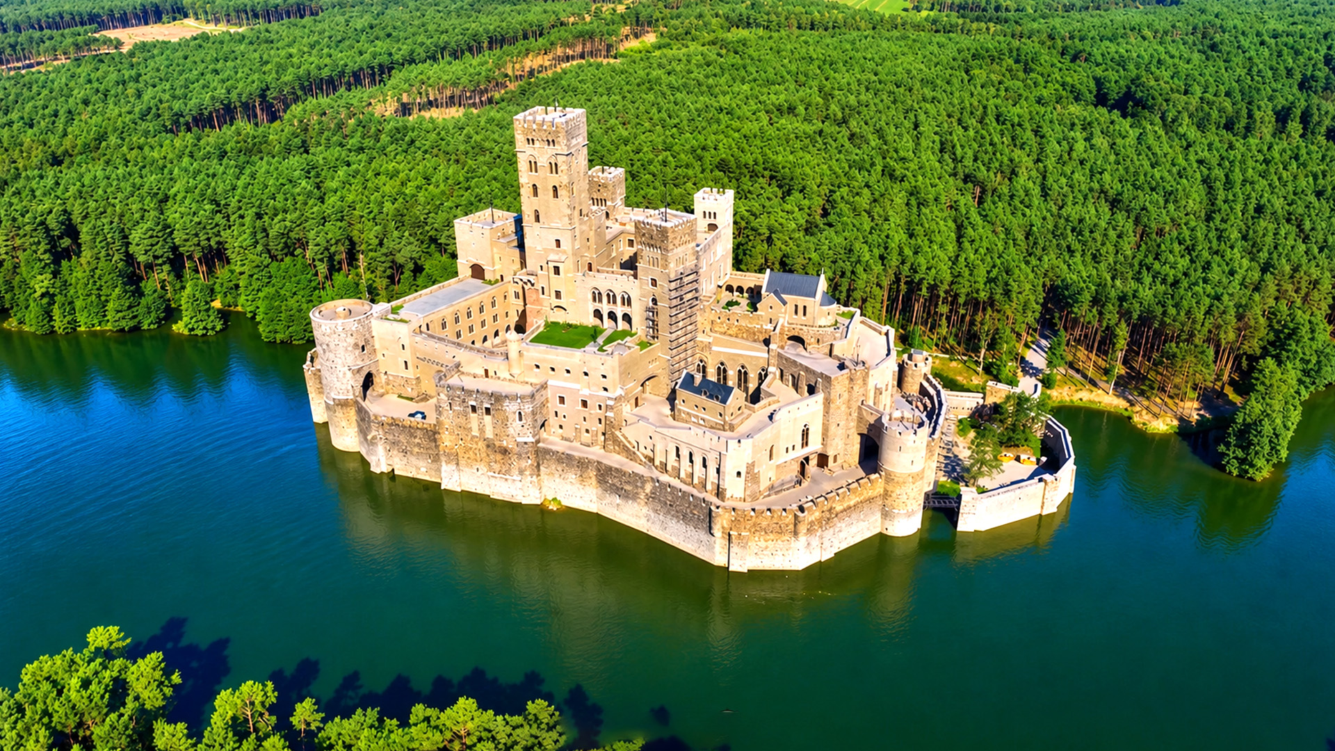 A castle that looks medieval hidden in a vast forest