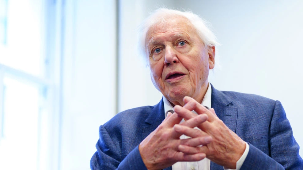 Royal Albert Hall to host Sir David Attenborough's 100th birthday gala