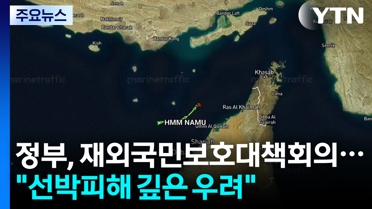 정부, 재외국민보호대책회의... "선박 피해 깊은 우려" / YTN