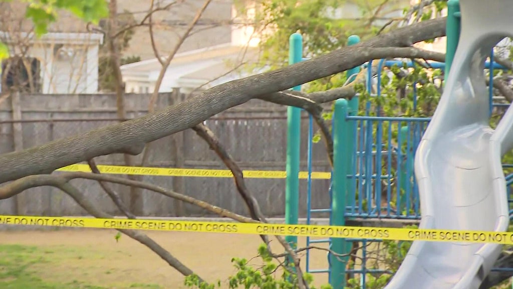 Child hit by falling tree at Melrose, Massachusetts school playground ...