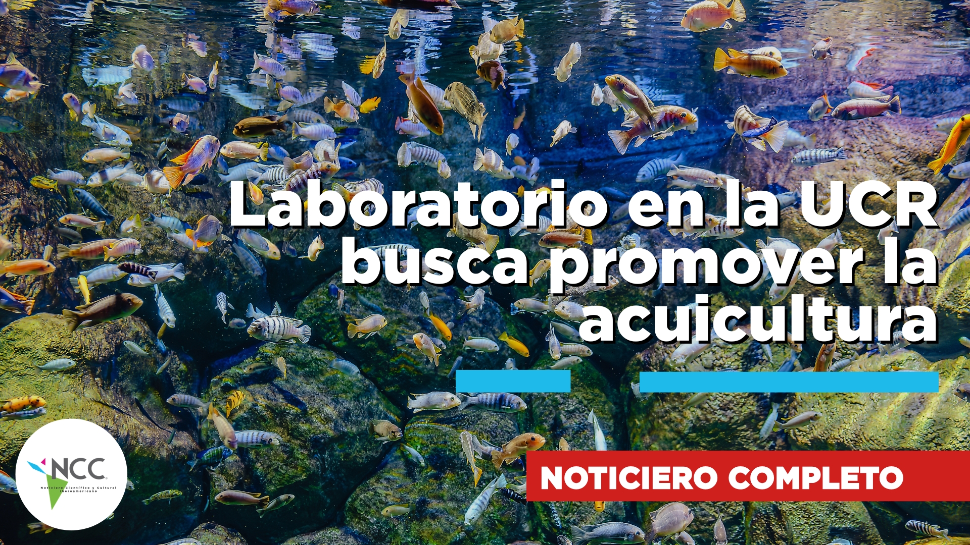 Laboratorio en la UCR busca promover la acuicultura | 861 | 04 al 09 de ...