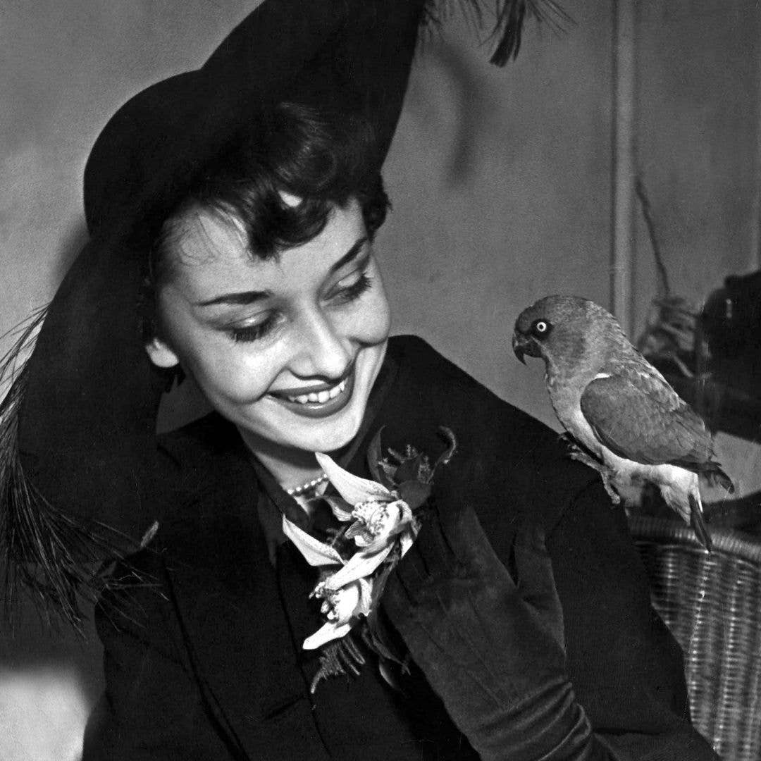 Audrey Hepburn's early years in six must-see photos before instant fame