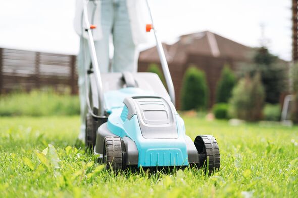 Lawns will be greener and thicker in May with Alan Titchmarsh's simple ...