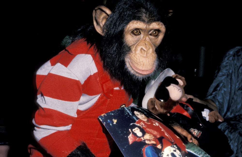 Besides Bubbles the chimpanzee, here are the other animals in Michael ...