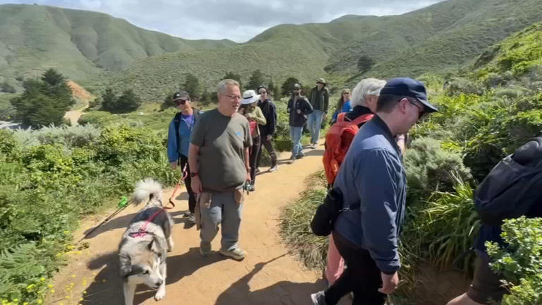Bay Area layoffs lead unemployed people on hiking journey in search of ...