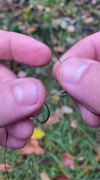 Best carp rig setups featured in viral fishing montage